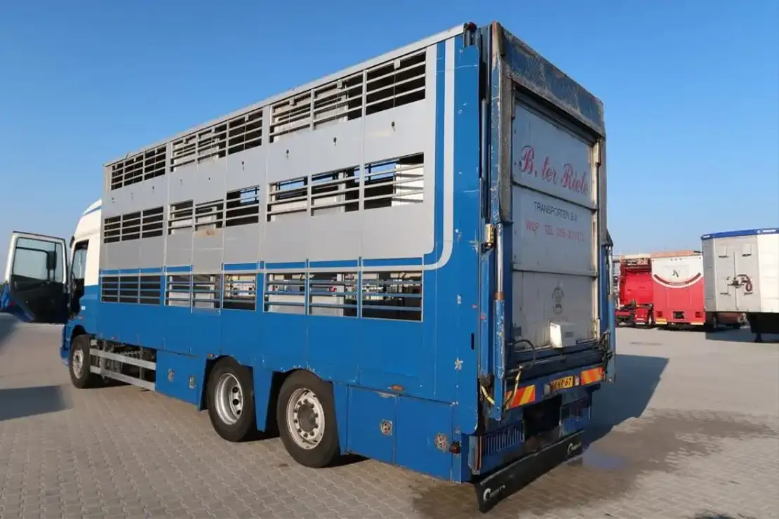 Veewagen Vrachtwagens kopen - gebruikt en nieuw - TrucksNL
