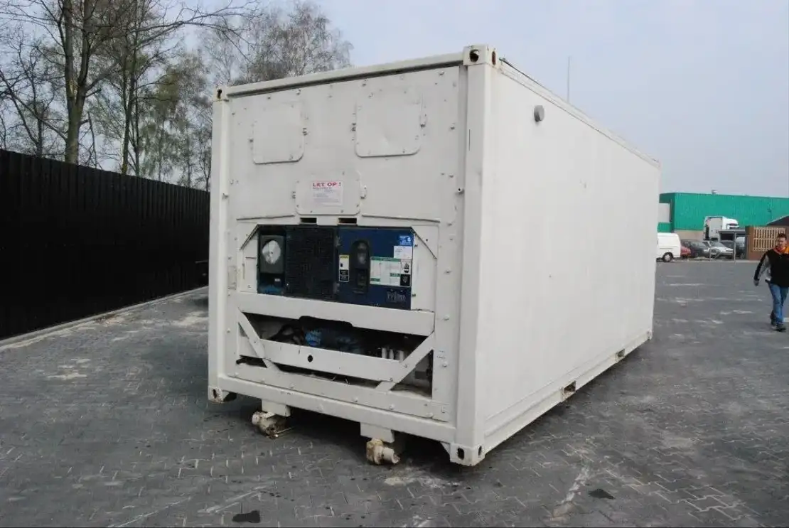 Carrier 20ft Reefer Container | Koel vries wissellaadbak - TrucksNL